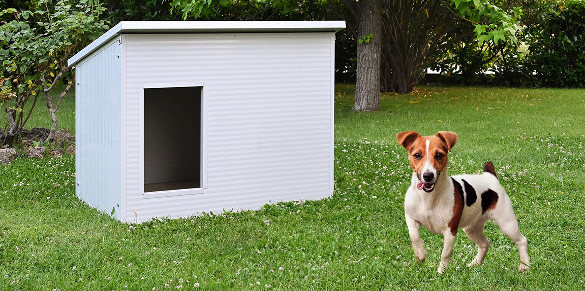 Hundehütte für Jack Russell - Ferranti Blog DE